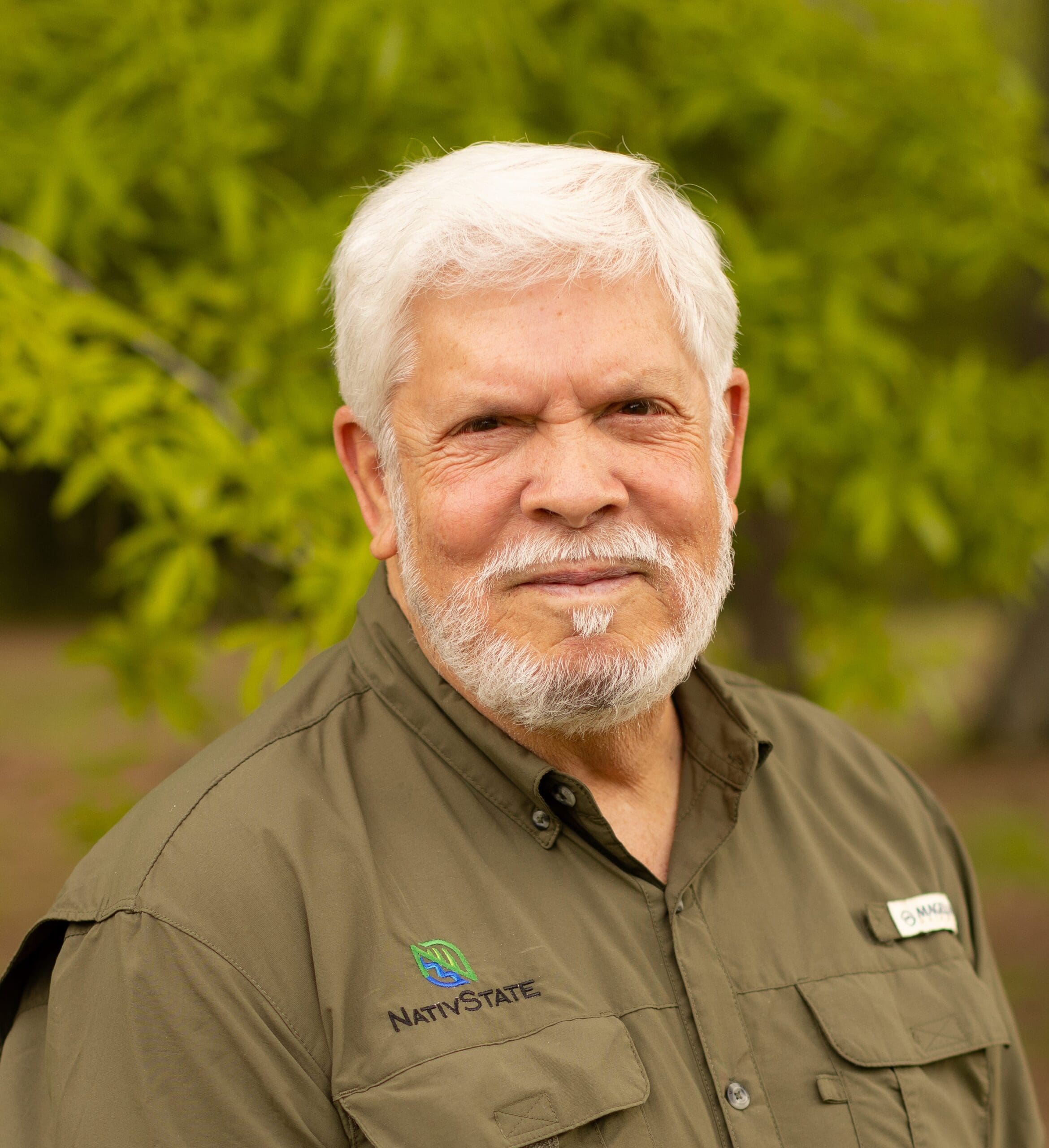 Mark Brown - NativState