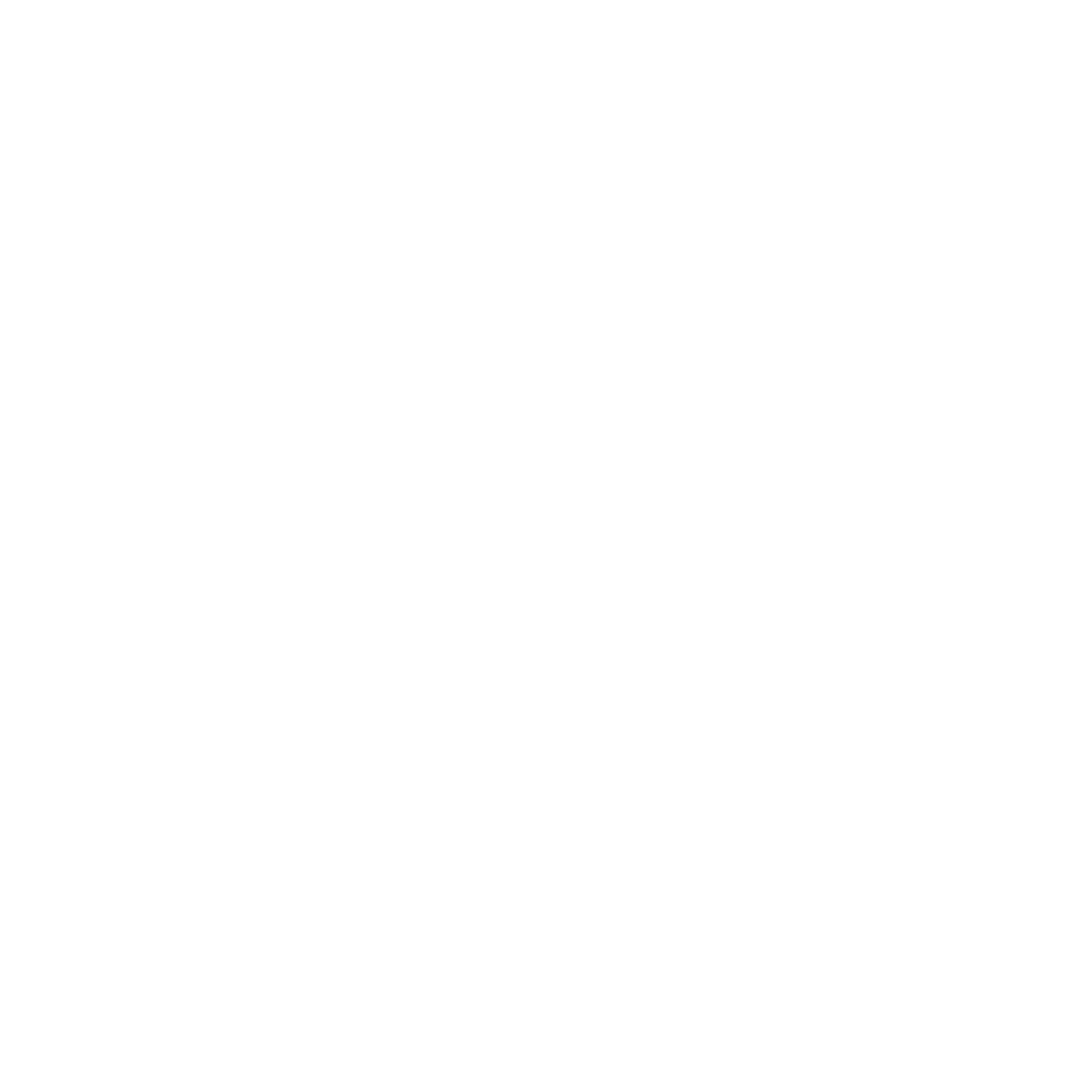 About the NativState Team, Mission and Vision