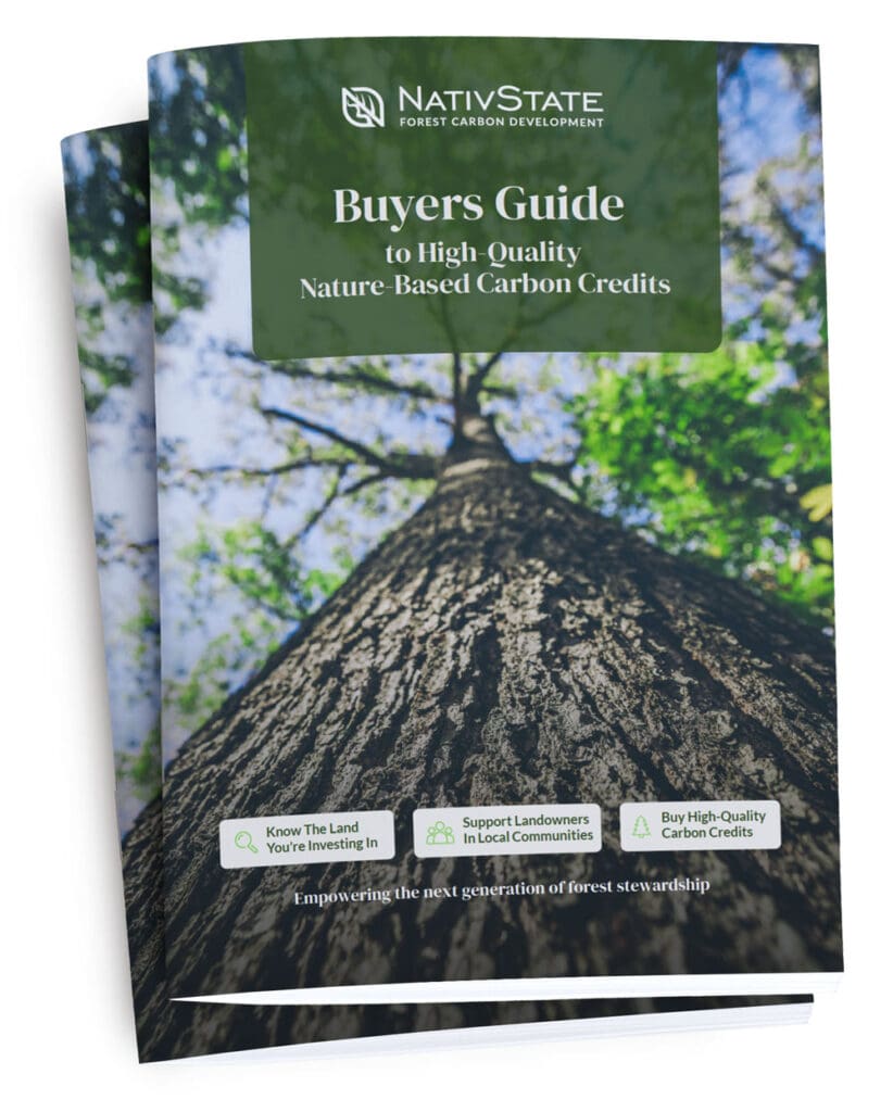 Forest Carbon Projects | NativState